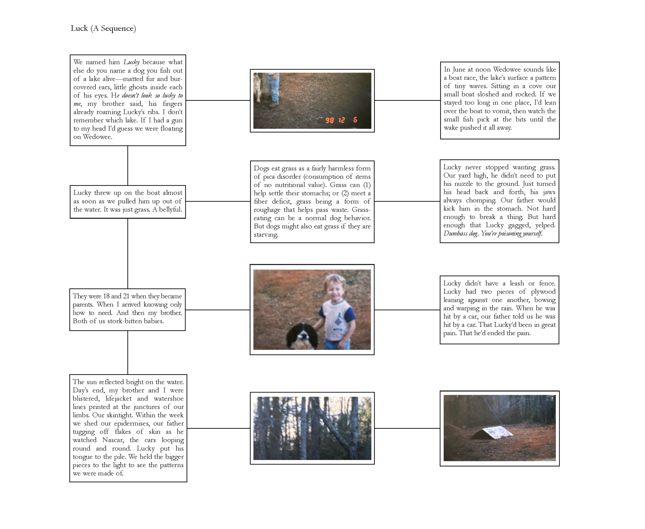 Luck (A Sequence) | Ashley Dailey - Sonora Review