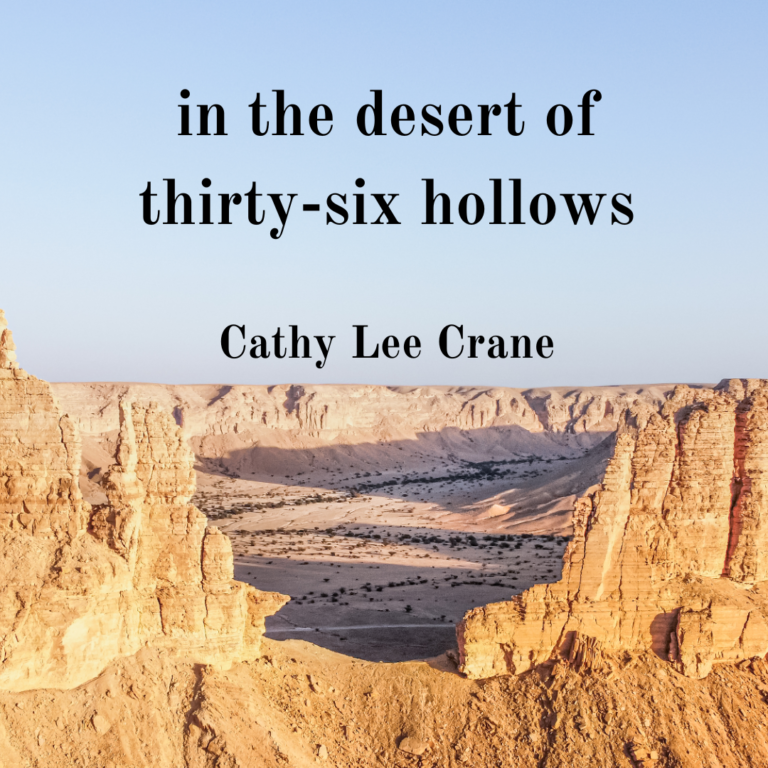 in the desert of thirty-six hollows | Cathy Lee Crane - Sonora Review