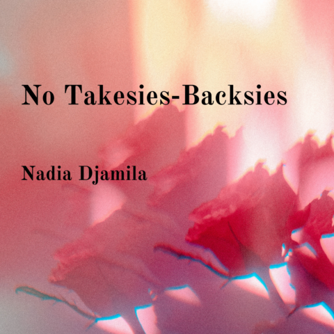 No Takesies-Backsies | Nadia Djamila - Sonora Review