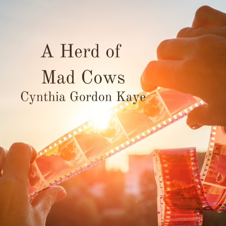 A Herd of Mad Cows | Cynthia Gordon Kaye - Sonora Review