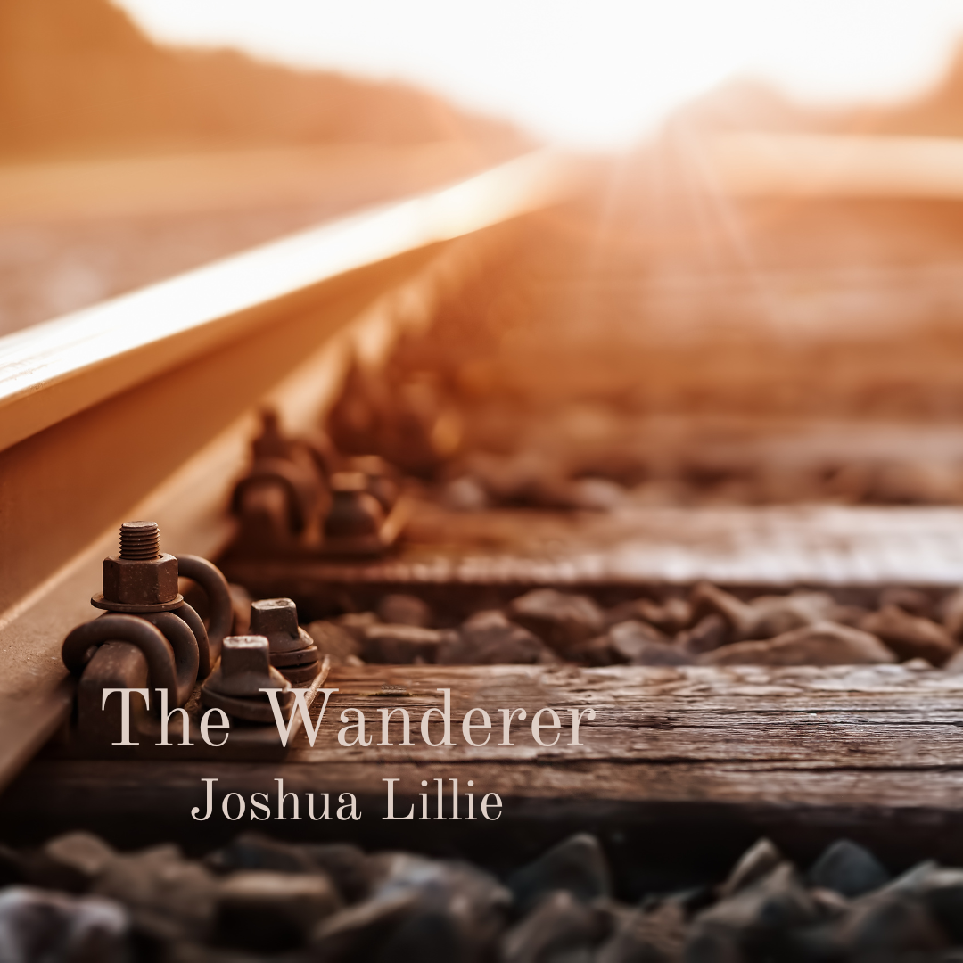 The Wanderer | Joshua Lillie - Sonora Review