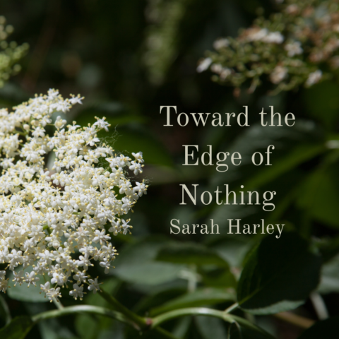 Toward the Edge of Nothing | Sarah Harley - Sonora Review