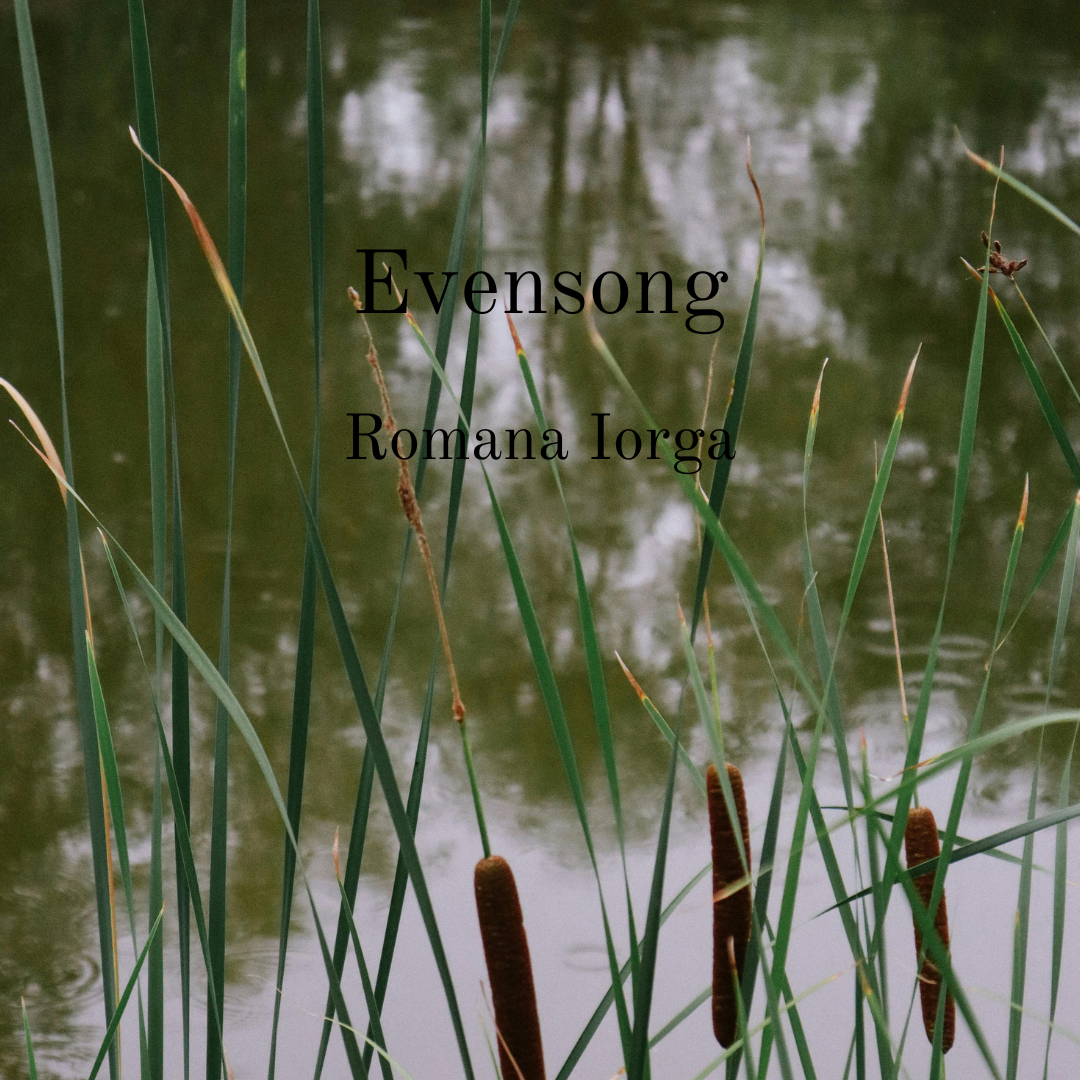 Evensong | Romana Iorga - Sonora Review